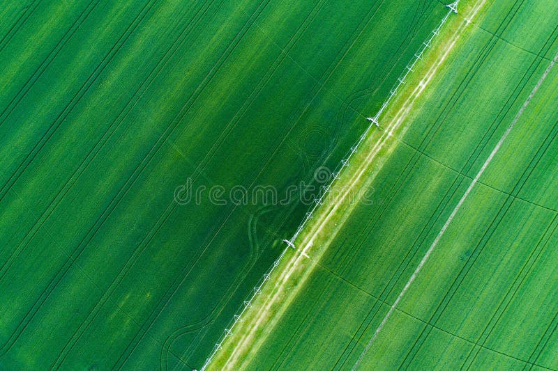 Irrigation System in Wheat Field Stock Photo - Image of drop, field ...