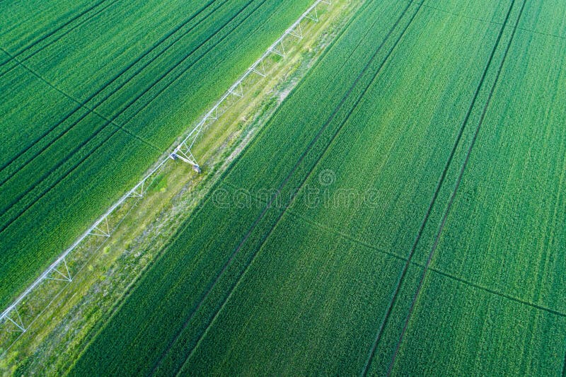 Irrigation System in Wheat Field Stock Image - Image of crop, field ...