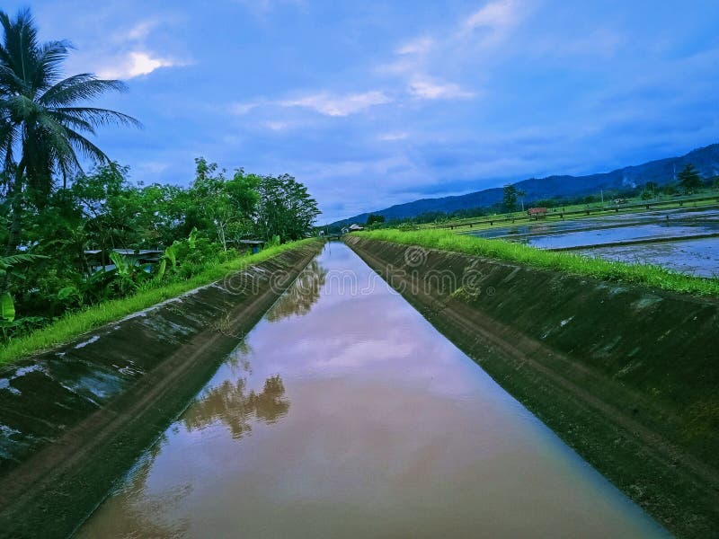 Irrigation Water Canals that Will Irrigate the Paddy Fields Stock Photo ...