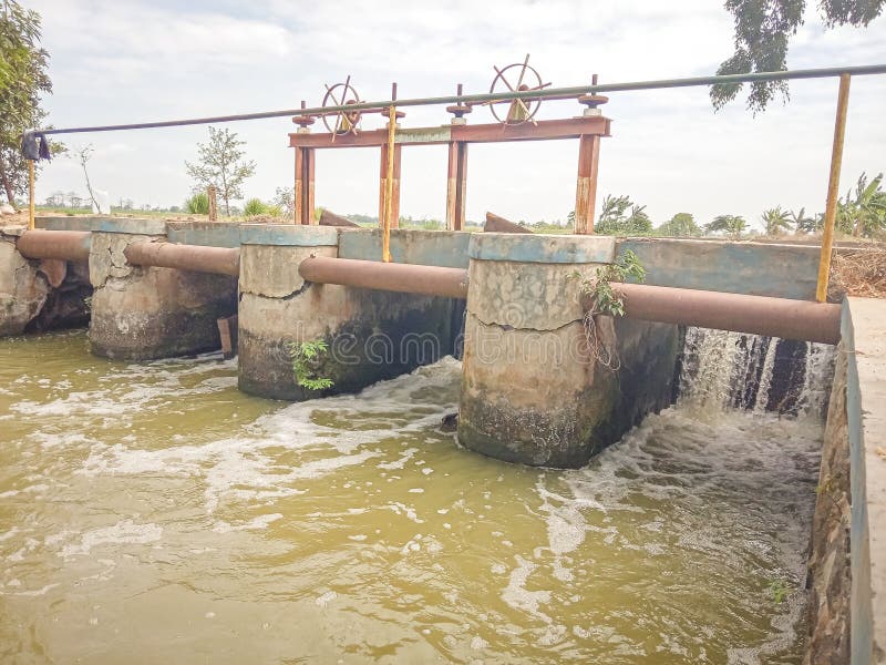 Irrigation Water Gate: Essential Agricultural Infrastructure Stock ...
