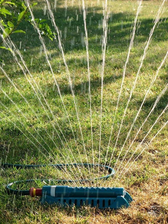 Irrigation water sprinkler stock photo. Image of water - 10187846