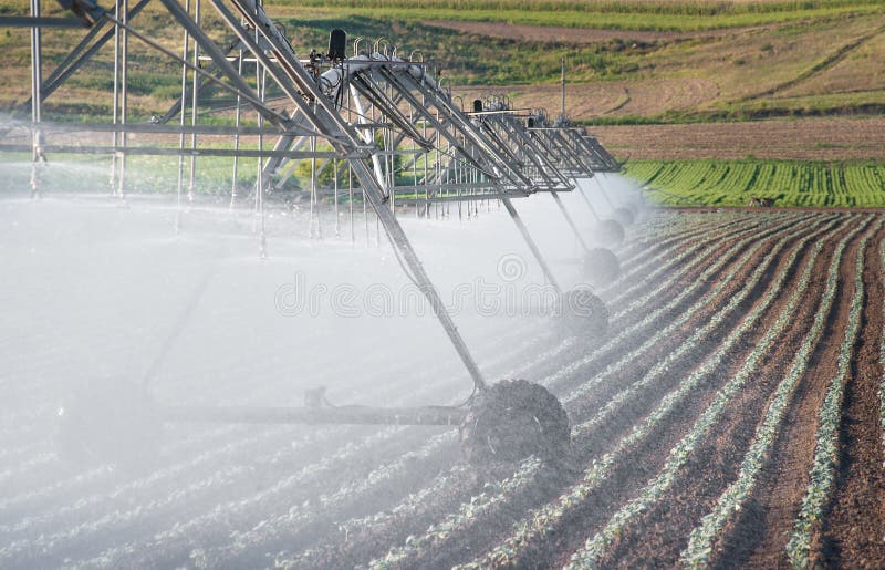 Irrigation Wheel Line Sprinkler Agricultural Equipment Stock Image ...