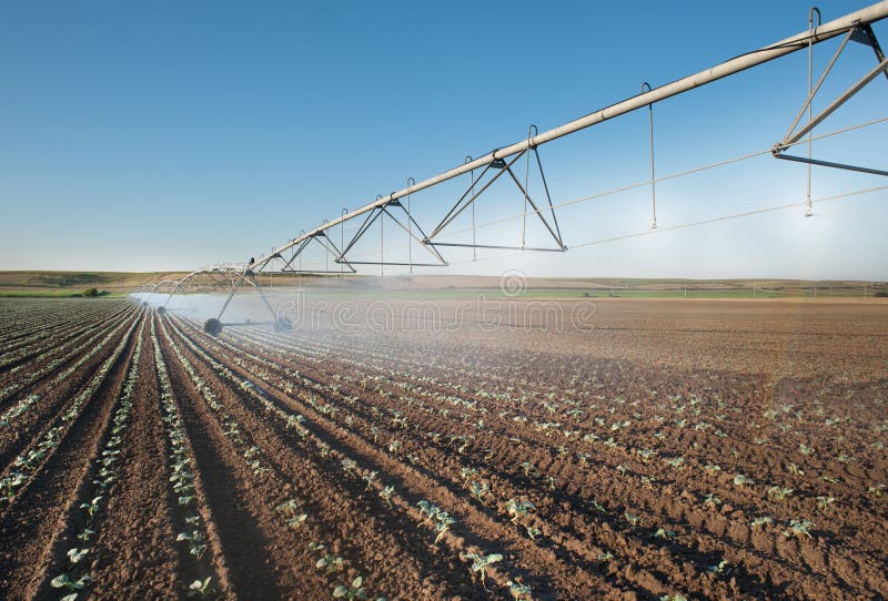Irrigation Wheel Line stock photo. Image of farm, cloud - 22667266