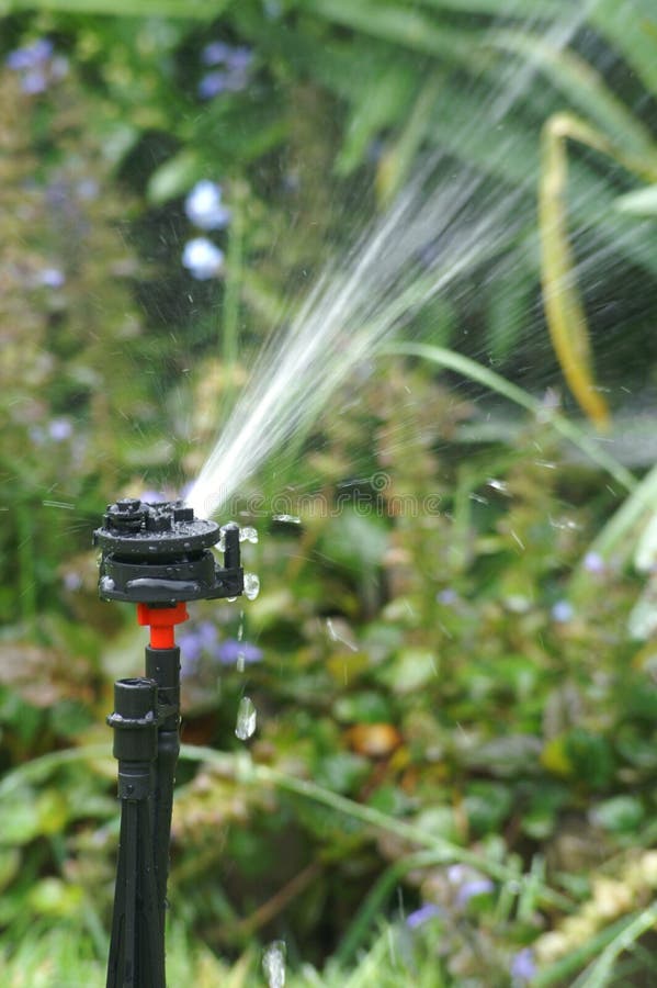 Irrigation11 stock photo. Image of sprinkling, garden - 2417766