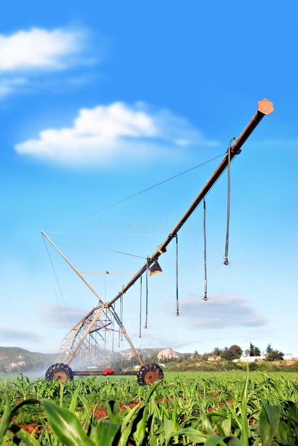 Irrigations System Watering A Farm Field Stock Photo - Image of ...