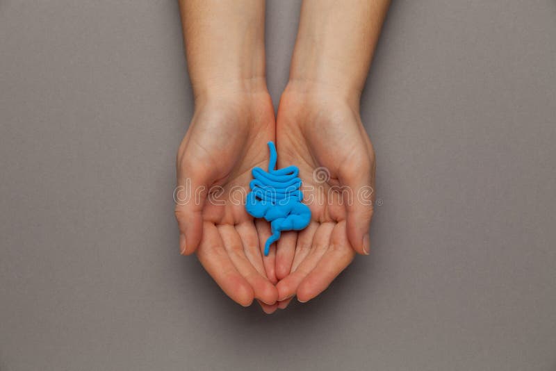 Irritable Bowel Syndrome Treatment. Intestine Model with Tablets Stock ...