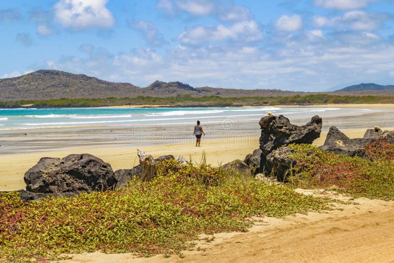 Isabela Beach, Galapagos, Ecuador Editorial Photography - Image of ...