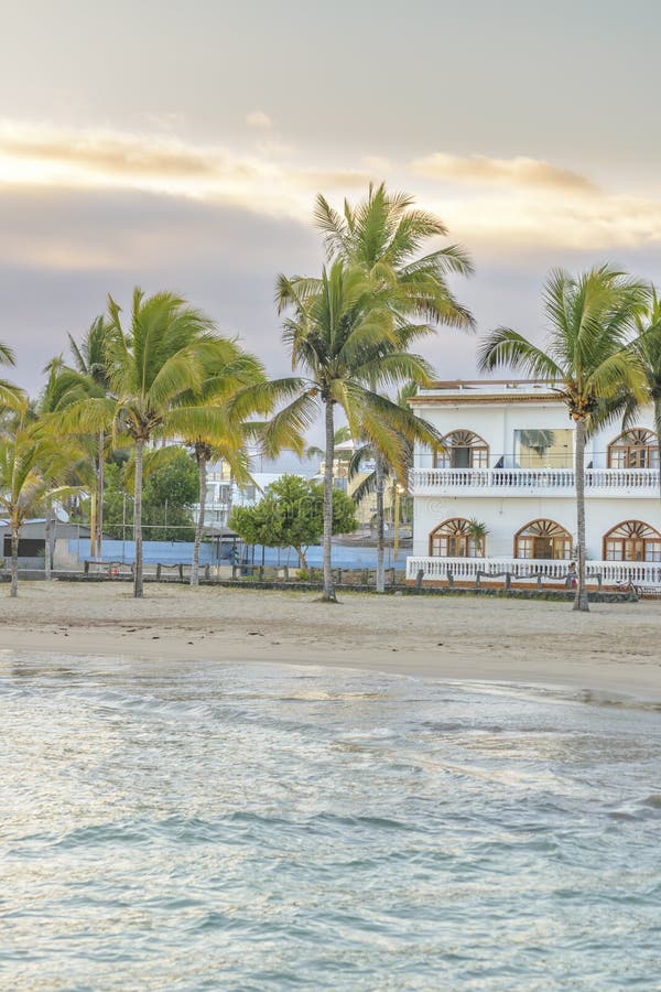 Isabela Island Beach, Galapagos, Ecuador Editorial Photo - Image of ...
