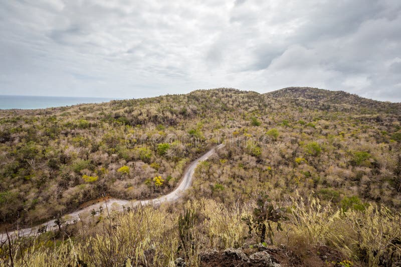 Isabela Island Landscape of Galapagos Stock Image - Image of national ...