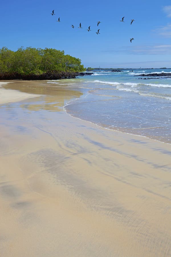 Isabela landscape stock photo. Image of sand, tropical - 22806768