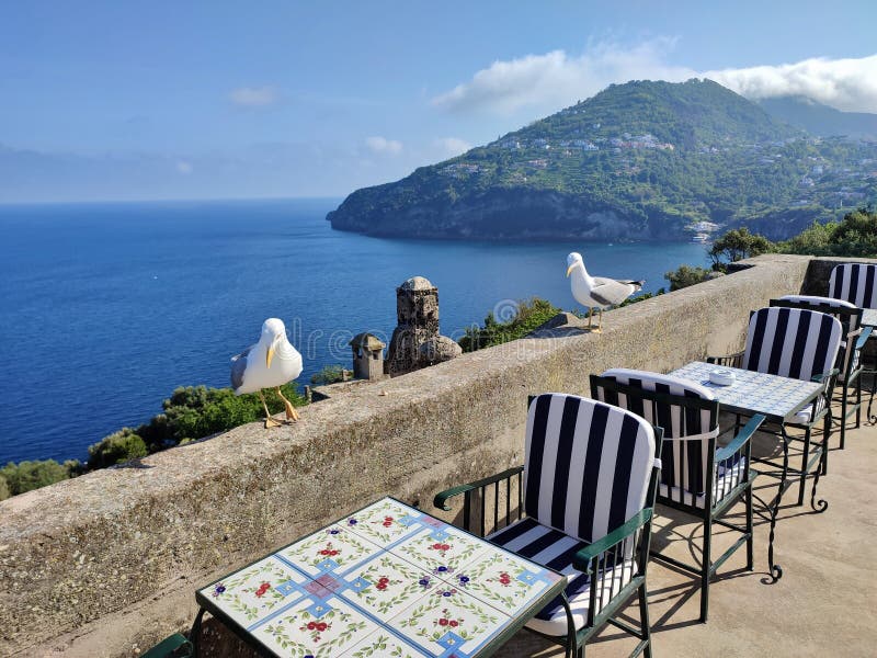 Ischia - Gabbiani Al Bar La Terrazza Stock Photo - Image of centre ...