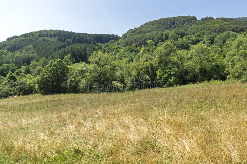 508 Ivan Planina Stock Photos - Free & Royalty-Free Stock Photos from ...