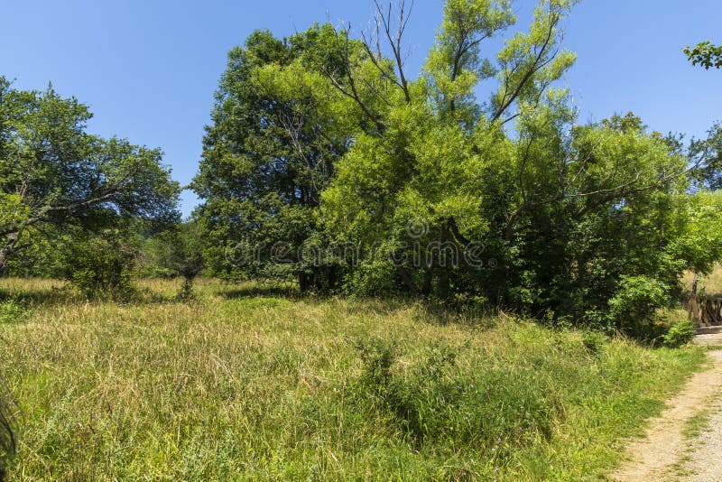 508 Ivan Planina Stock Photos - Free & Royalty-Free Stock Photos from ...