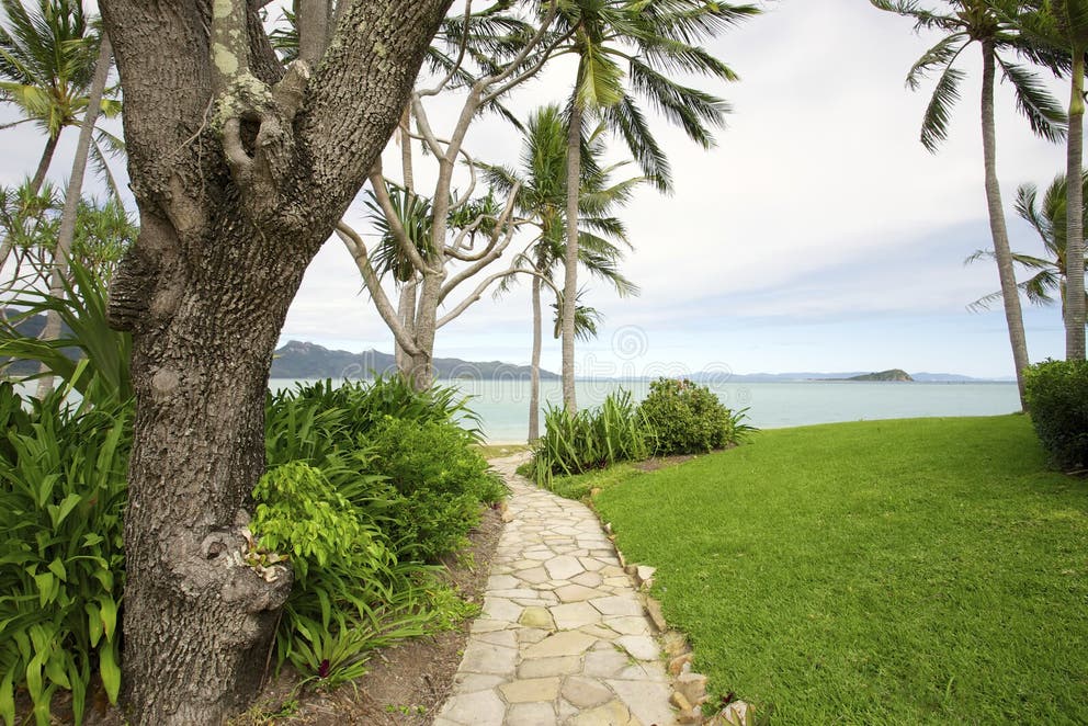 Isla Australia de Hayman foto de archivo. Imagen de australiano - 31277928