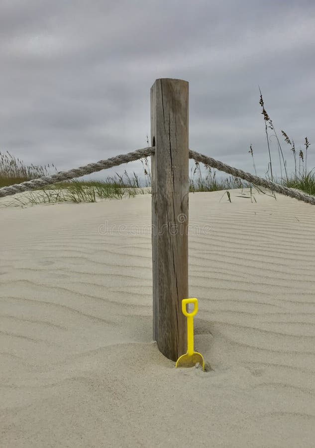 Isla Carolina Del Norte De La Cabeza Calva Foto de archivo - Imagen de ...