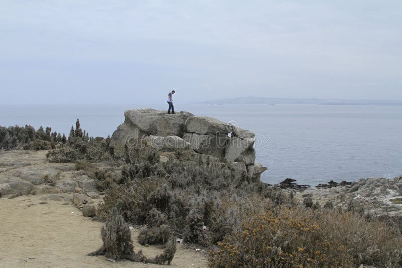 Isla Damas Near La Serena Chile Editorial Photography - Image of ...