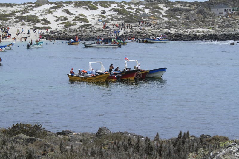 Isla Damas Near La Serena Chile Editorial Photography - Image of ...
