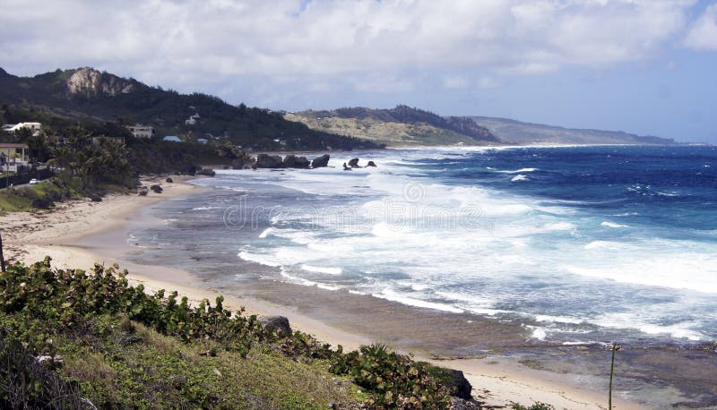 Isla De Barbados En La Costa Este De Basheba Foto de archivo - Imagen ...