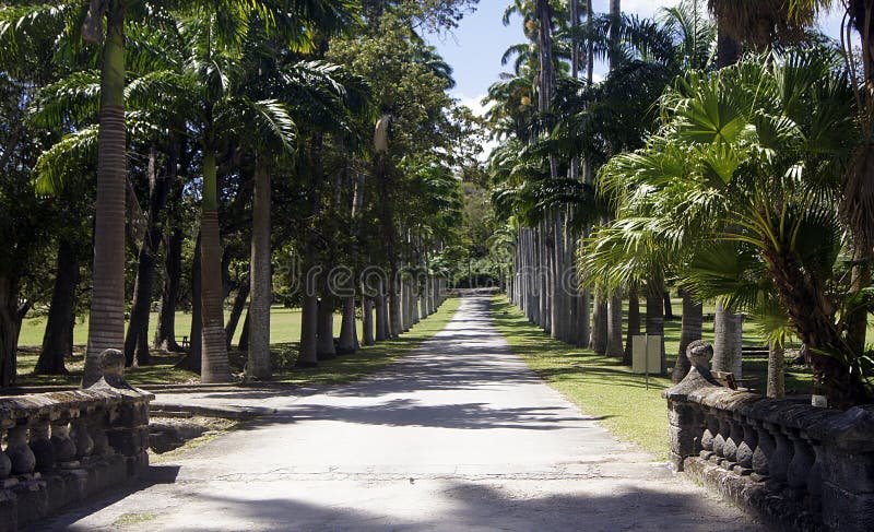 Isla De Barbados En La Costa Este De Basheba Imagen de archivo - Imagen ...
