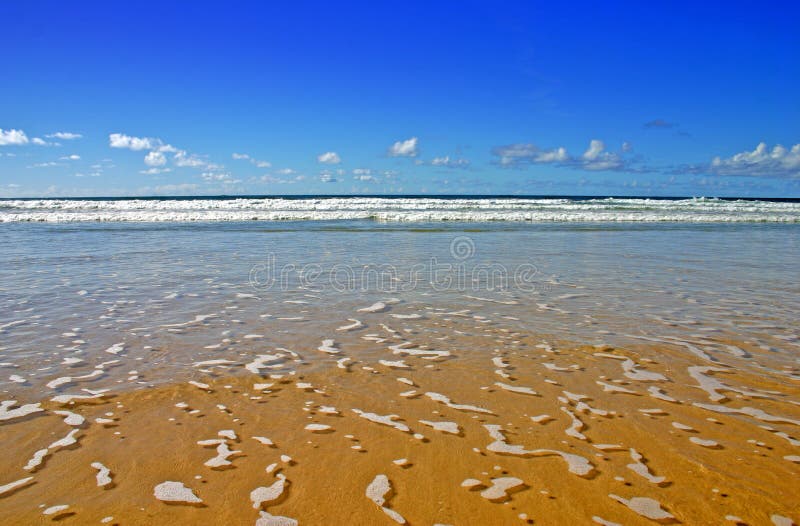 Isla de Fraser, Australia foto de archivo. Imagen de palma - 3239312