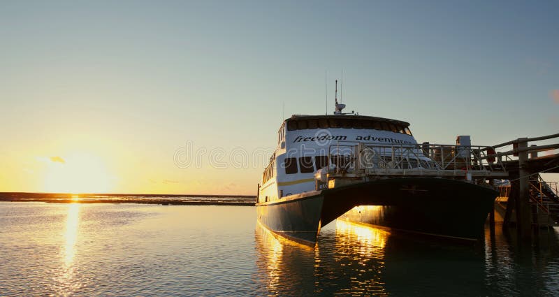 Isla de la garza foto editorial. Imagen de coral, australia - 95416721