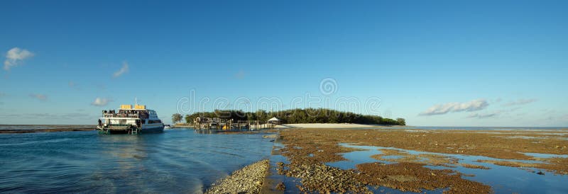Isla de la garza foto editorial. Imagen de popular, capricornio - 95416776
