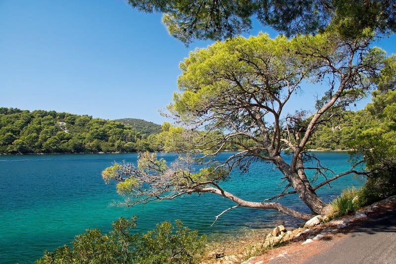 Pequeño Lago En Parque Nacional En La Isla De Mljet Imagen de archivo ...