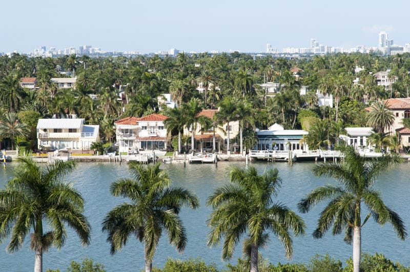 Isla de palma de Miami imagen de archivo. Imagen de florida - 131944543