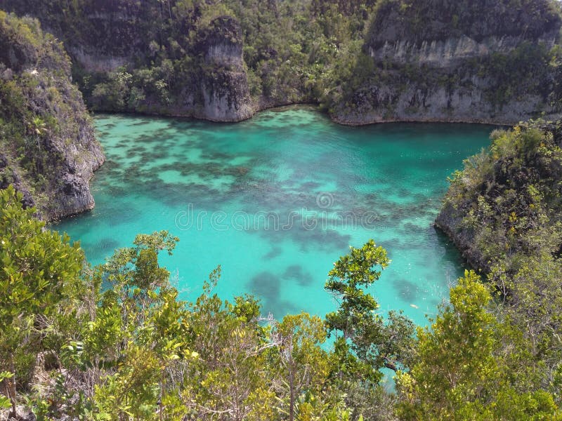Isla de Piaynemo foto de archivo. Imagen de indonesia - 100855798