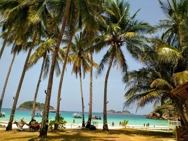 Isla de Redang imagen de archivo. Imagen de malasia - 114485193