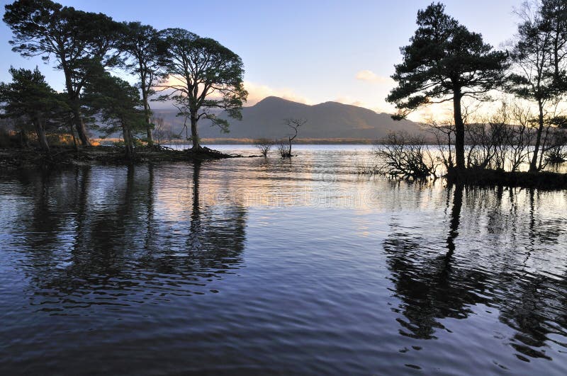 Isla de Ross foto de archivo. Imagen de horizonte, kerry - 7309686