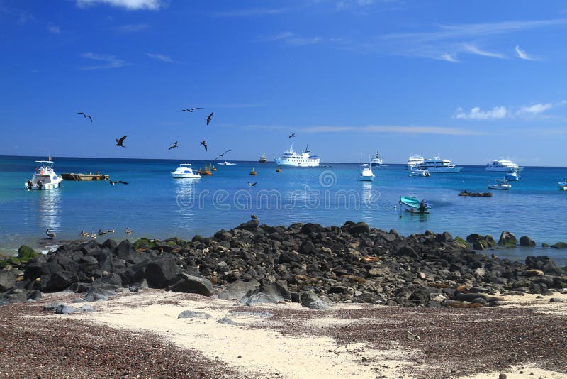 Isla De Santa Cruz, Las Islas Gal3apagos Foto de archivo - Imagen de ...