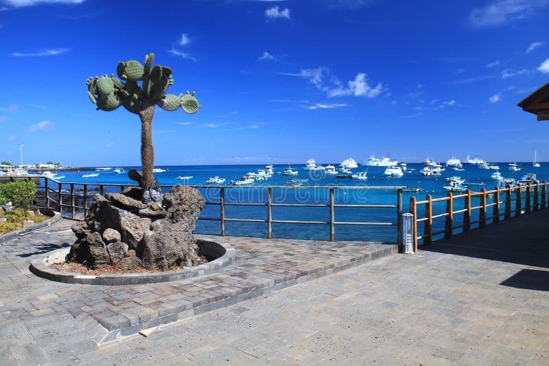 Isla De Santa Cruz, Las Islas Gal3apagos Imagen de archivo - Imagen de ...