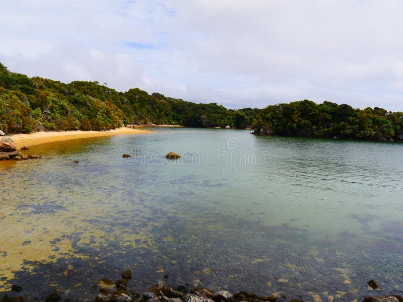 Isla de Stewart imagen de archivo. Imagen de playa, roca - 109882689