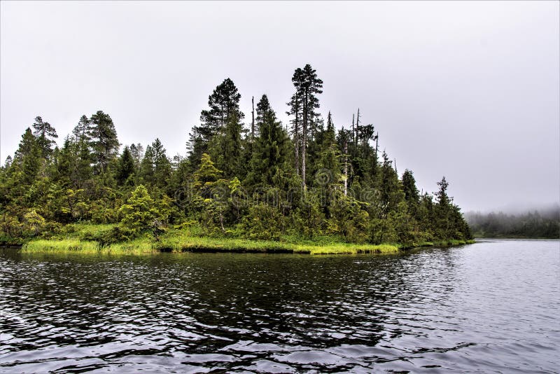 Isla Del Bosque En El Lago, Alaska Foto de archivo - Imagen de agua ...