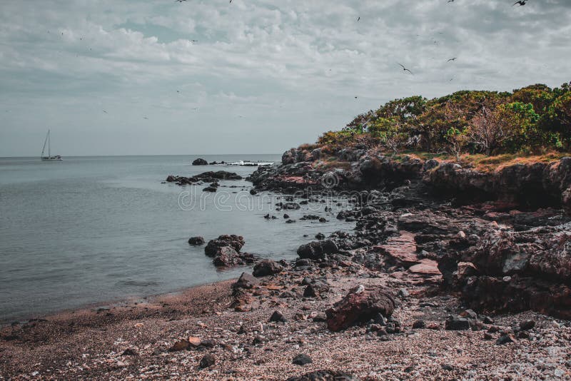 Isla Isabel Bay View Nature Stock Image - Image of isabel, cape: 219061969