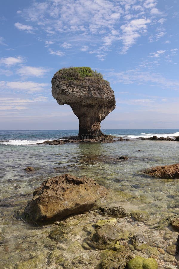 Isla lambai taiwan foto de archivo. Imagen de hoja, suelo - 260222448