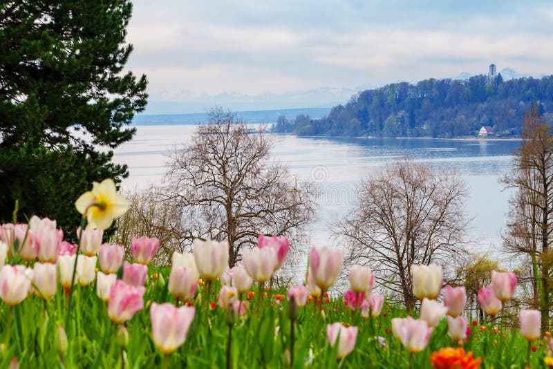 Isla Mainau de la flor imagen de archivo. Imagen de flor - 116075057