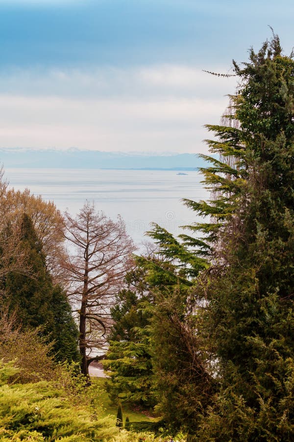 Isla Mainau de la flor imagen de archivo. Imagen de constancia - 134859719