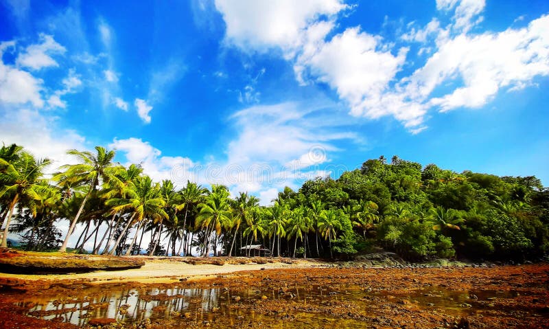 Isla seca imagen de archivo. Imagen de planta, sunlight - 208456209
