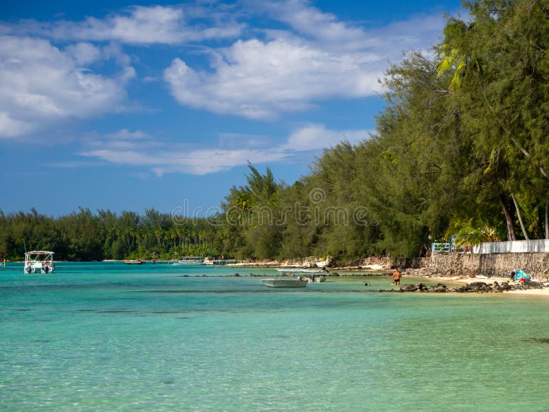 Isla Tahiti Palmbeach Moorea French Polynesia Foto de archivo - Imagen ...