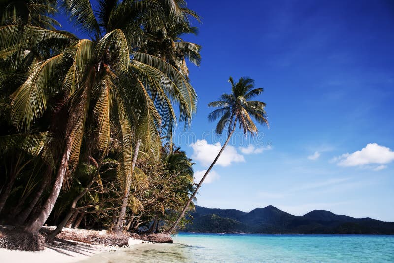 Isla tropical. imagen de archivo. Imagen de marejada - 16786227