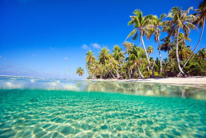 Isla tropical imagen de archivo. Imagen de agua, azul - 31502833