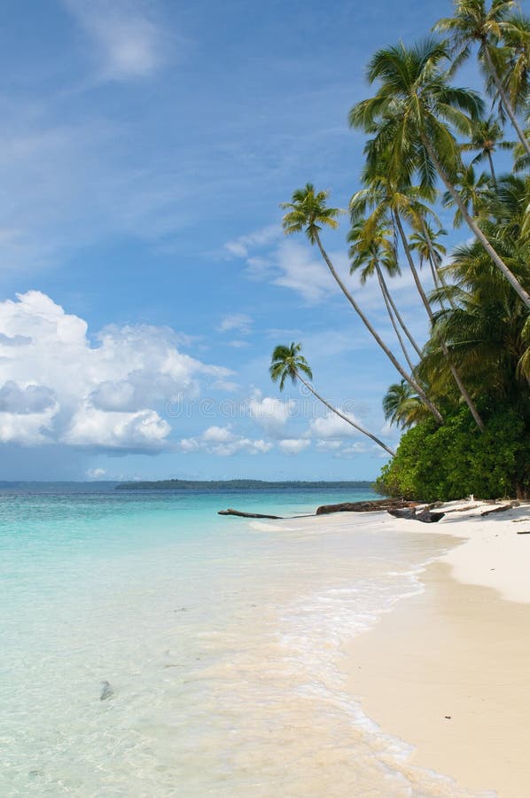 Isla Tropical - Mar, Cielo Y Palmeras Foto de archivo - Imagen de isla ...