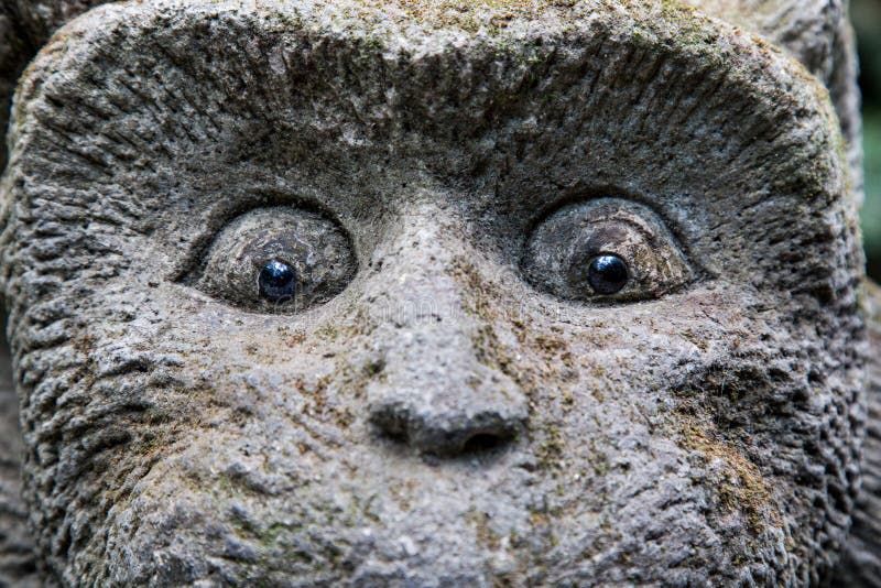 Isla ubub bali foto de archivo. Imagen de detalle, bebé - 182153420