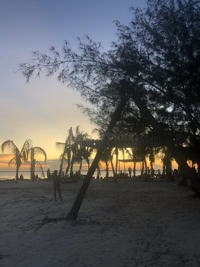 Island Beach Bar Watching the Sun Set Stock Photo - Image of palm ...