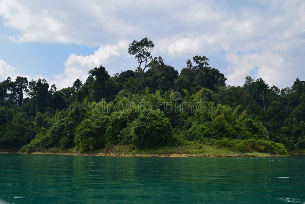 Island stock image. Image of green, tailand, jungle - 126689647