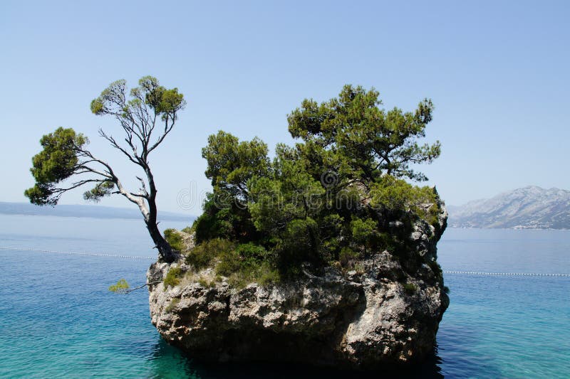 Island in Brela stock photo. Image of tree, brela, beach - 25660000