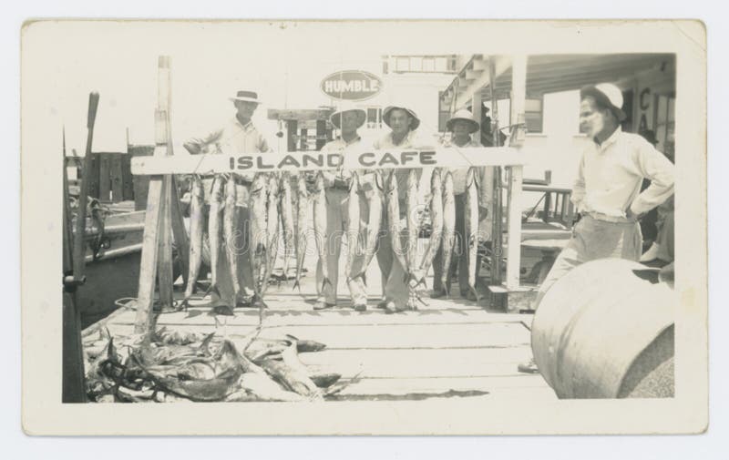 [Island Cafe] Picture. Image: 222637726