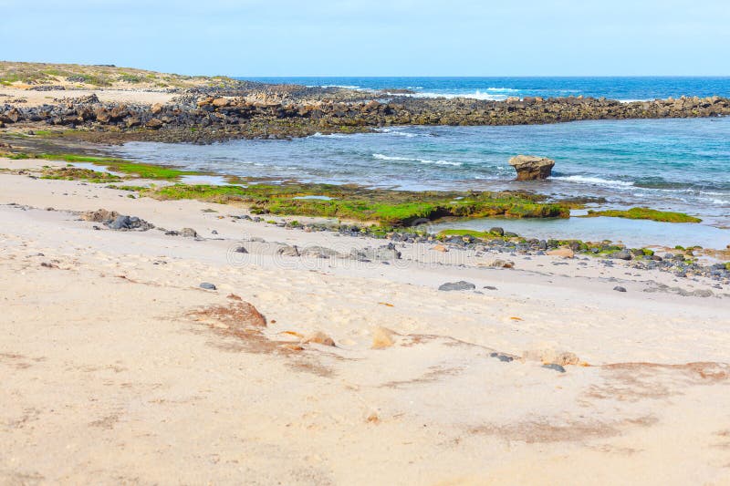 Island coast stock image. Image of water, island, turquoise - 274821195